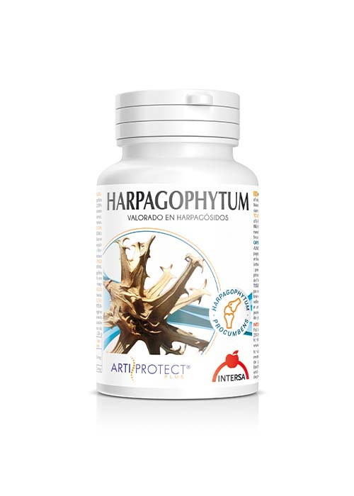 Harpagophytum 60 cápsulas - Herbolario Solidario